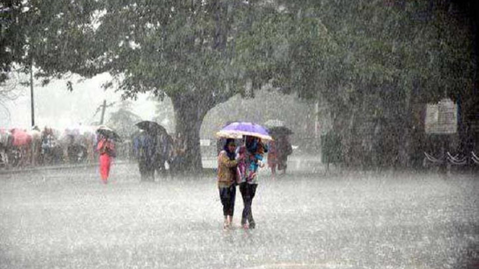 Bangladesh Weather: Thunderstorms and temperature...