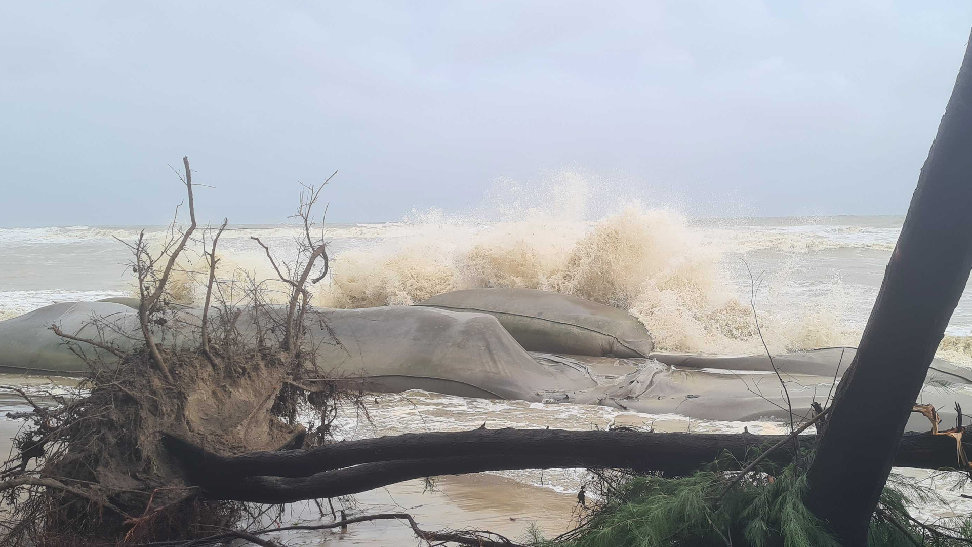 6 districts face flood risks: FFWC
