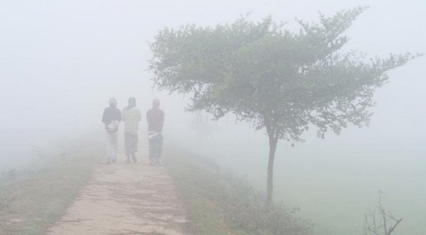 Cold wave grips 24 districts across Bangladesh