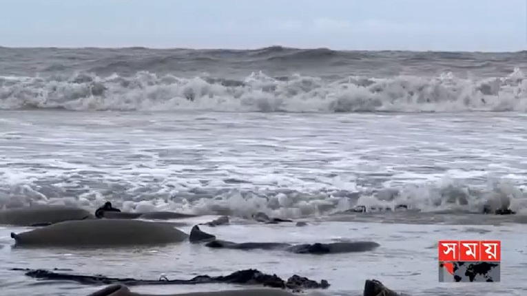 Signal 3 issued for maritime ports