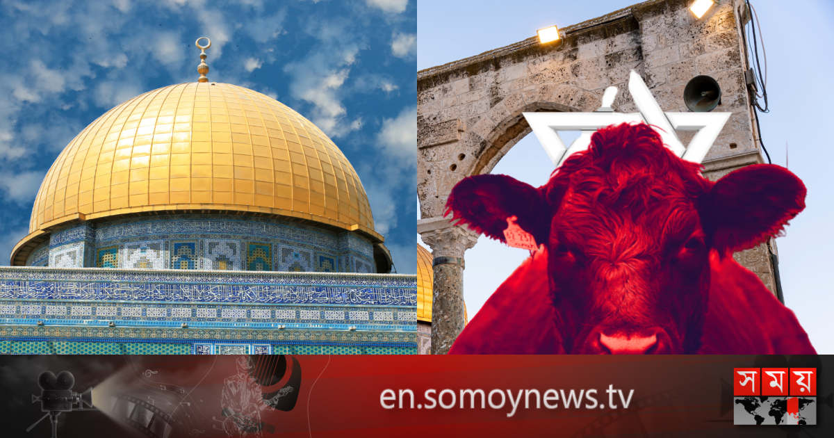 Red Heifer in Jewish Scriptures and Holy Qur'an: