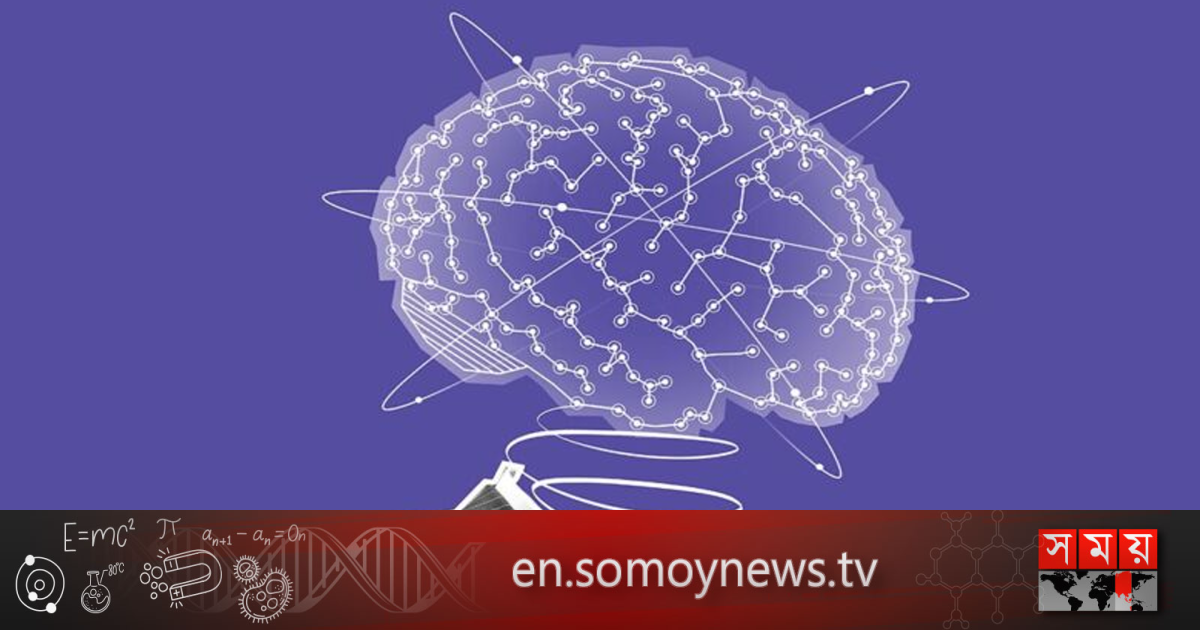 Groundbreaking 3D map of human brain unveiled usi...