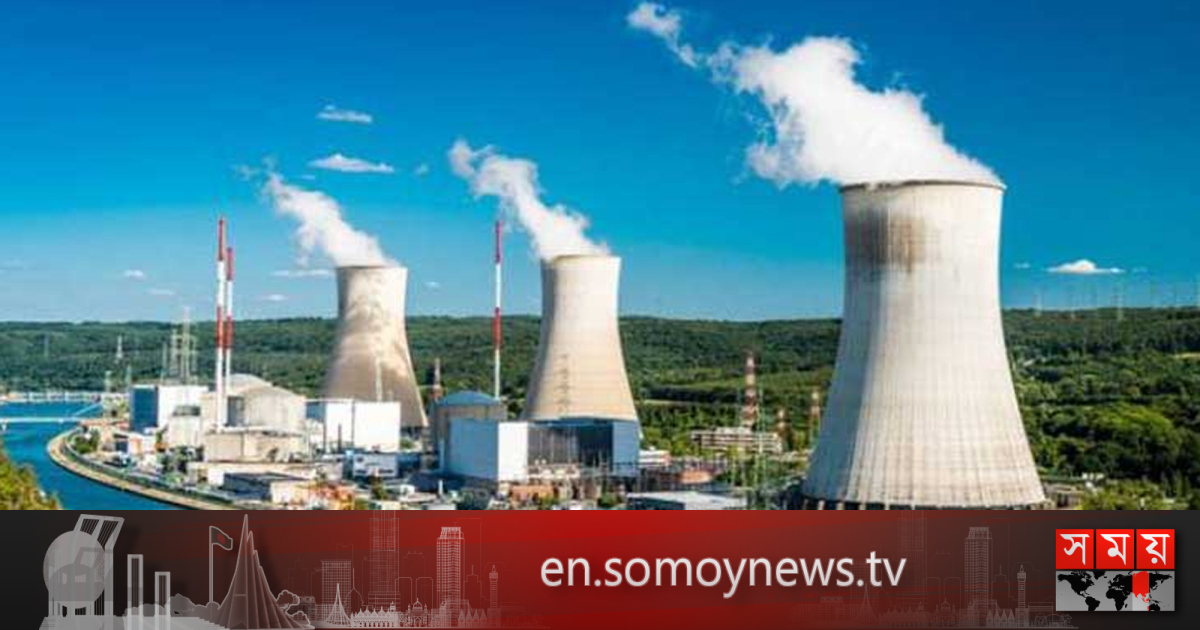 Electricity from RNPP in 2024