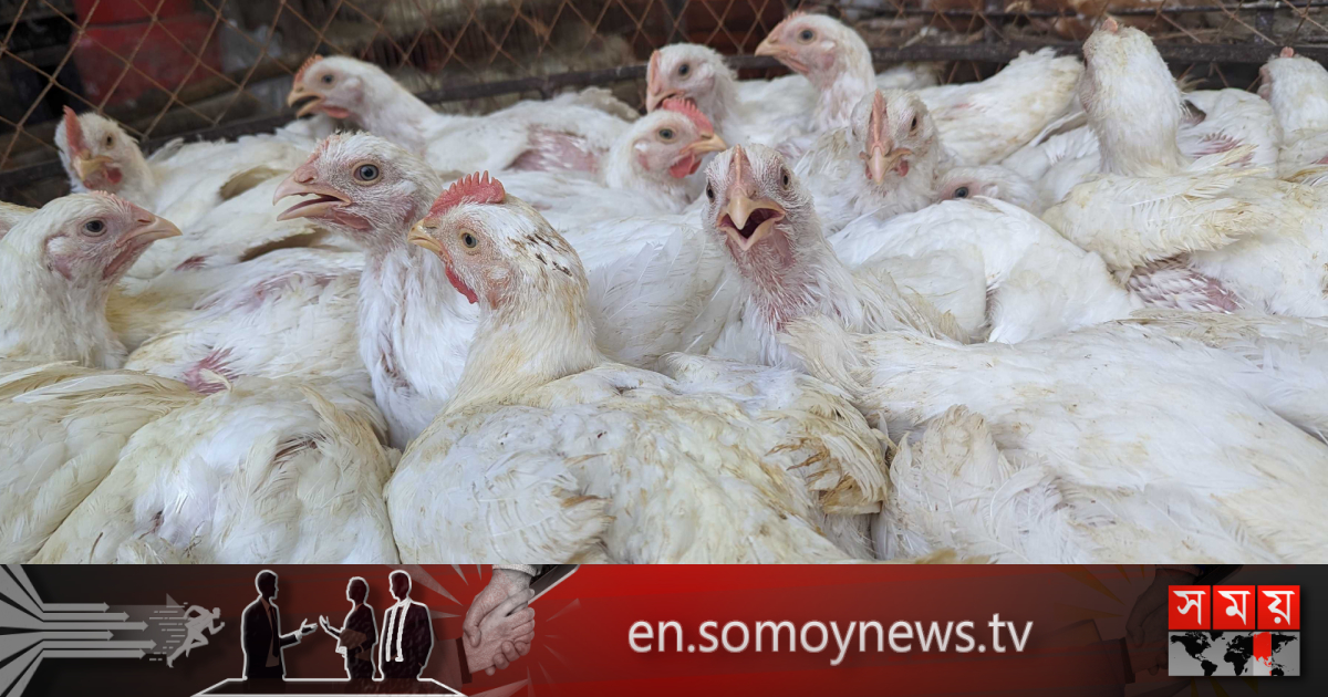 Why are chicken prices soaring?