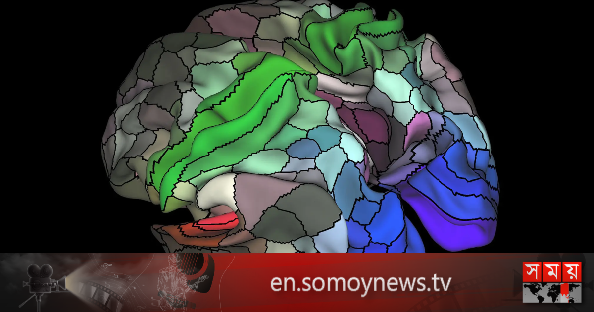 Mystery behind shrinking human brain